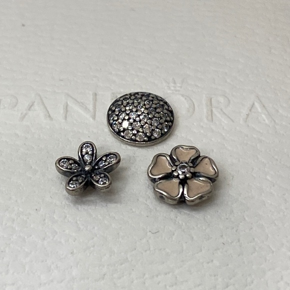 Pandora | Jewelry | New Pandora Silver Floating Locket Petites Charm ...